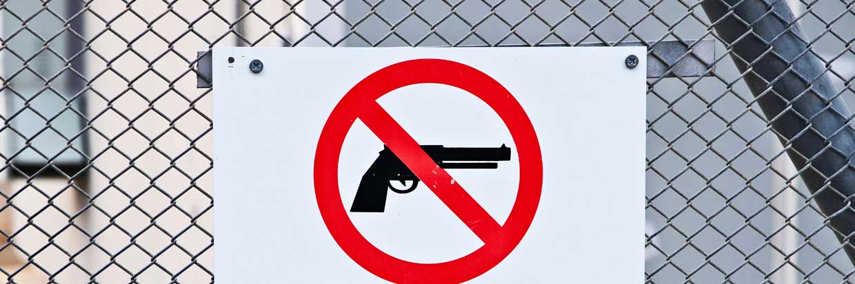 Hidden Guns in Schools and Churches and more… | Michigan Catholic ...